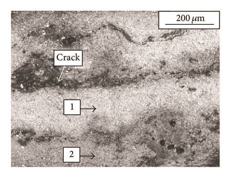 Micrographs Light Microscope Of Coating Deposited With Powder 3 A