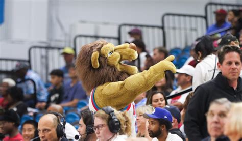 Join The Pride Loyola Marymount University