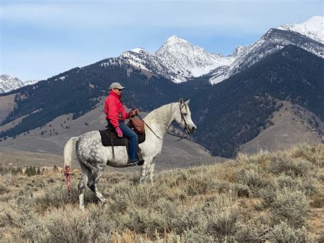 Congratulations To Debbie Canaday And Mozambique V Of Alaska «