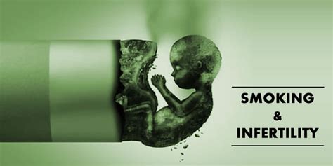 Letsquit Smoking And Infertility