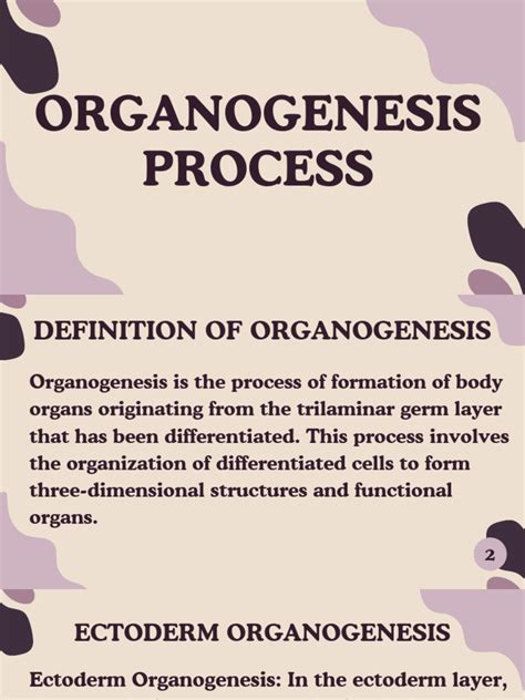 Thesis Defense Pdf Anatomy Developmental Biology