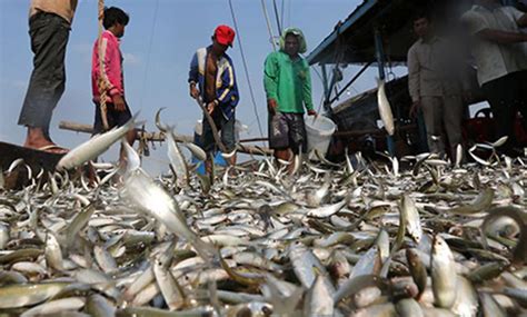 Fish Conservation Ias Exam