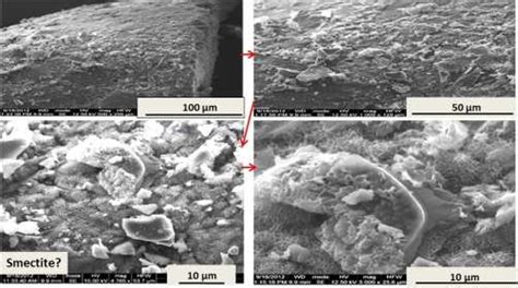 Sem Images Secondary Electron Of Interpreted Smectite On The Ottawa