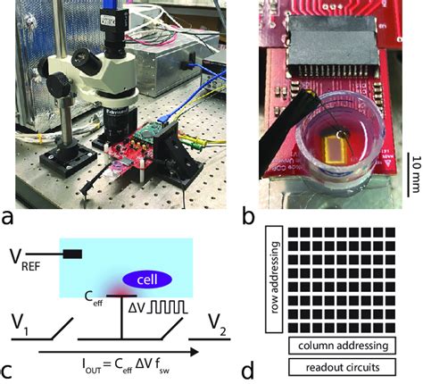 electrochemical imaging biosensor array a an integrated cmos