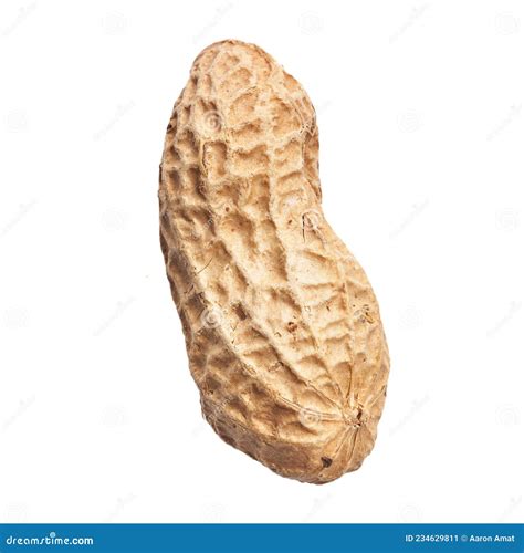 Single Peanut With Shell Isolated On A White Background Stock Image
