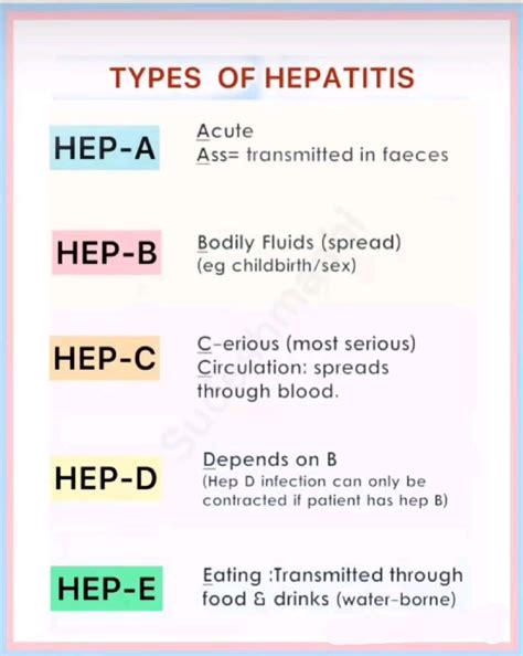 Types Of Hepatitis In 2025 Medical School Stuff Nursing School Tips