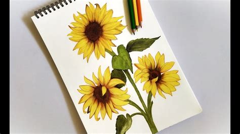 Sunflower Drawing How To Draw A Sun Flower Draw With Me Drawing