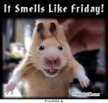 I Smell The Weekend Sniff  I Smell The Weekend Sniff Discover