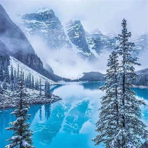 林涧草朗读《每一个日子都要温柔地度过》碑林路人身后