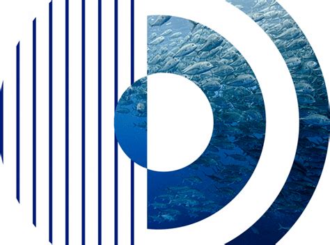 Teen Doula Training Program Data Analysis Report Embrc