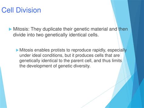Ppt Protista Powerpoint Presentation Free Download Id 9126770