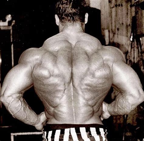 25 Best Backs In Bodybuilding History Middleeasy