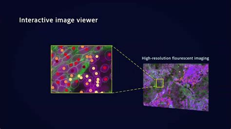 Explore Single Cell Spatial And Spatial Proteomics Data On Bioturing