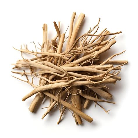 Page 13 Propagator Images Free Download On Freepik