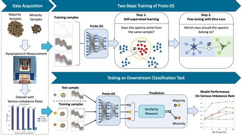 Proto Ds A Self Supervised Learning Based Nondestructive Testing Approach For Food Adulteration