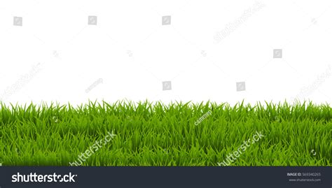 Grass Border Vector Illustration Stock Vector Royalty Free 569340265