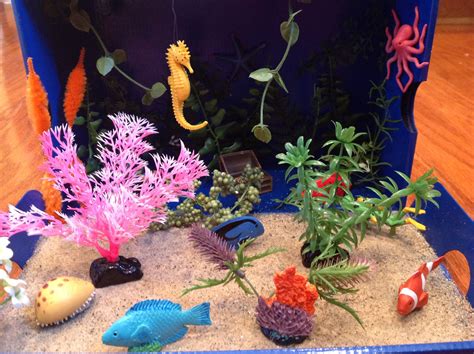 First Grade School Project Coral Reef Diorama Coral Reef Biome
