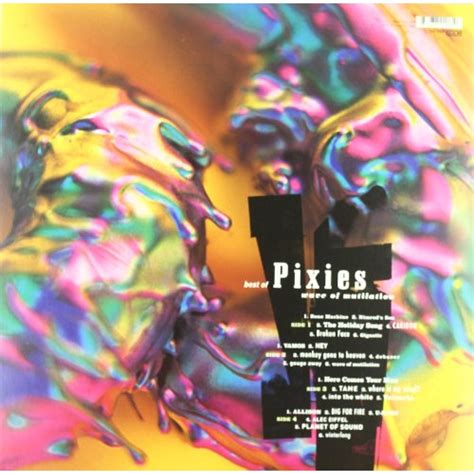 Wave Of Mutilation The Best Of Pixies