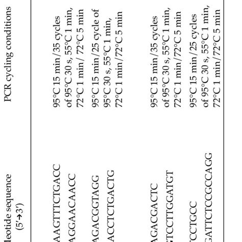Primers Used In Nested Pcr Assay Download Scientific Diagram