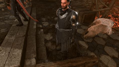 Armor Cloth Physics Bug R Baldursgate3