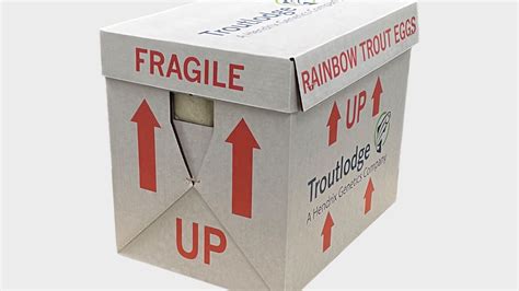 Preserving Perfection What Is Cold Chain Packaging