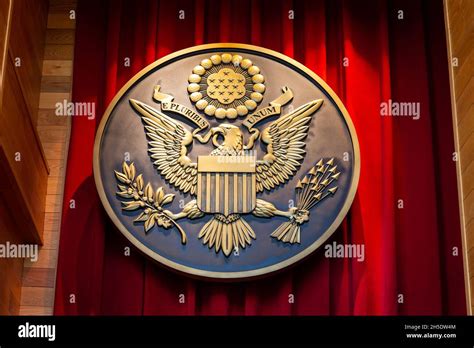 Government Eagle Symbol