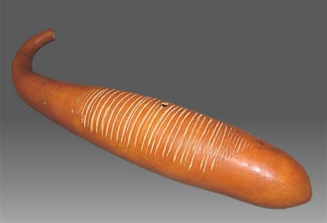 The Güiro Scratching Into History Rhythm And Joy Archaic Roots