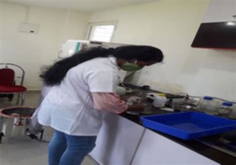 Molecular Bios Service