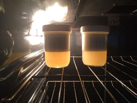 Yogurt Experiment Homemade Coconut Milk