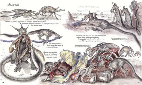 The Wildlife Of Star Wars A Field Guide エロ2次画像