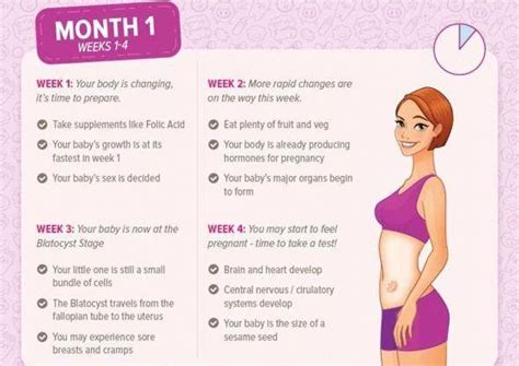 First Stages Of Being Pregnant