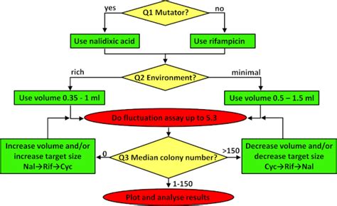 Measuring Microbial Mutation Rates With The Fluctuation Assay Scientific Article Protocol Jove
