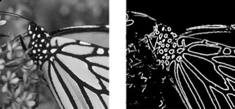 Edge Detection In Image Processing Explained