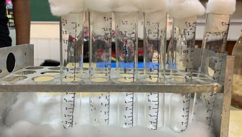 A Drosophila Melanogaster Flies Placed In Tubes For Ring Assay Download Scientific Diagram