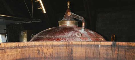 Aude Morvany On Linkedin [dossier] Rhums Hexagonaux Le Grand éveil