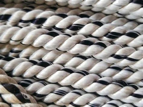 Multicolor Nylon Rassi 200 300 Mreel 5 Mm At ₹ 100kg In Panipat Id 2852310016148