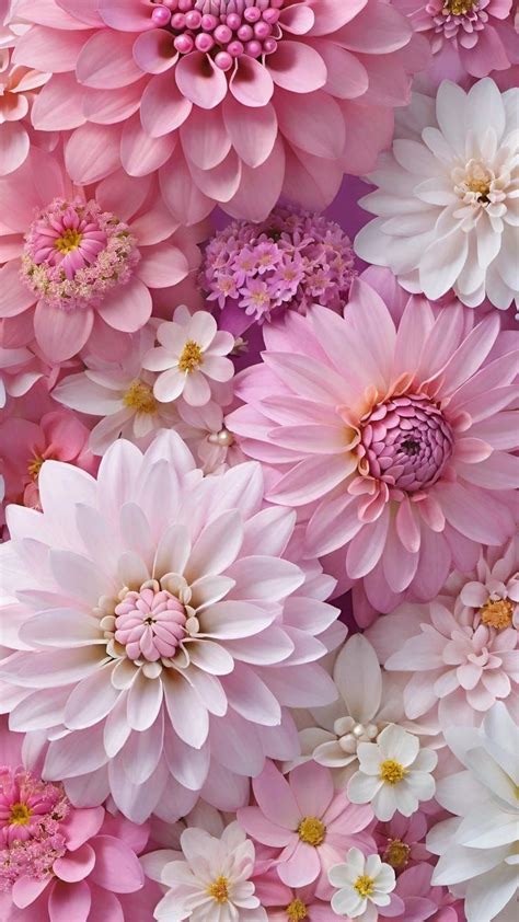 Pink Flower Backgrounds Aesthetic Pink And White Flower Background