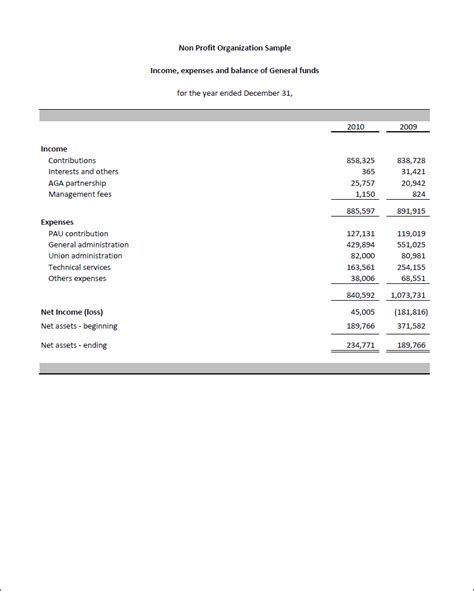 Non Profit Financial Statement Template What You Need To Know