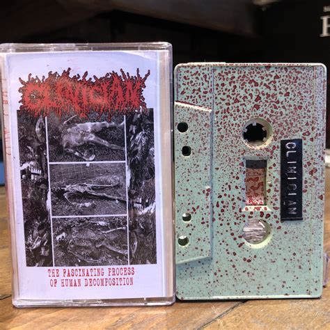 The Fascinating Process Of Human Decomposition Clinician