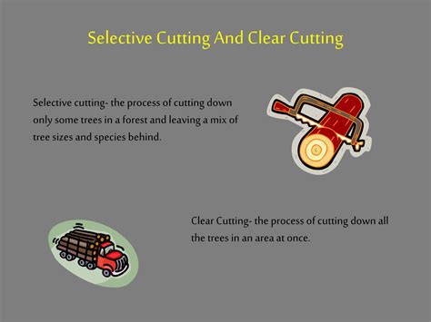 Ppt Forests Powerpoint Presentation Free Download Id 3230900