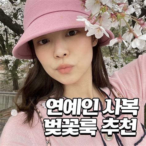 연예인 사복 벚꽃룩 데이트룩 핑크 코디 모음 Zip 네이버 블로그