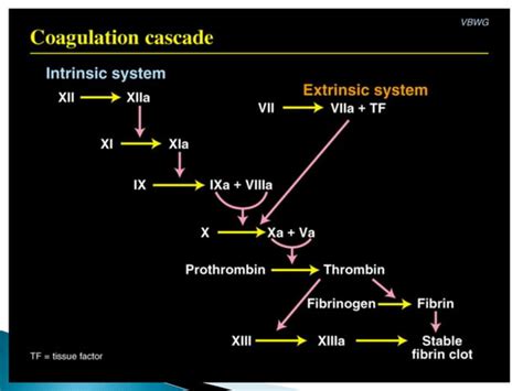 Coagulation Profile Pptx