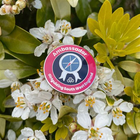 Alice Heaps On Linkedin Ggswe Design Brand Graphicdesign