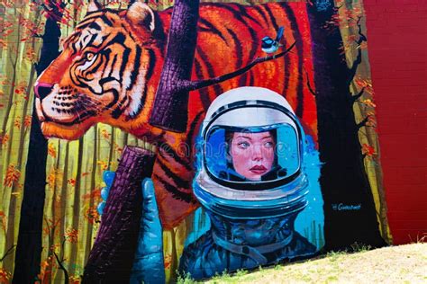 Street Art In Australien Brisbane Queensland Redaktionelles Stockfoto Bild Von Durchgang