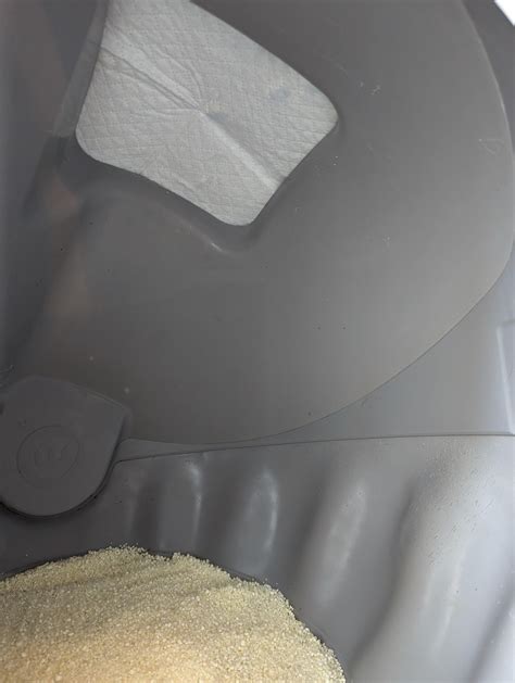 Problem Solved High Pee Er Vertical Pee Er Elevator Butts R Litterrobot