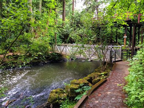 Leach Botanical Garden How To Visit This Hidden Wonder