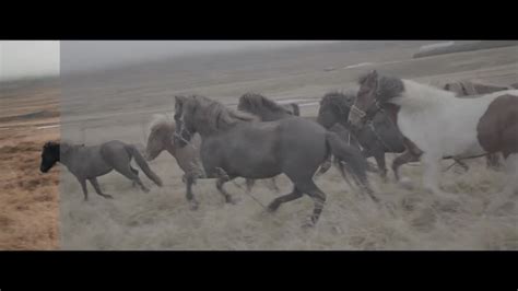 slog3 adventure and standard luts 39849278 videohive direct download