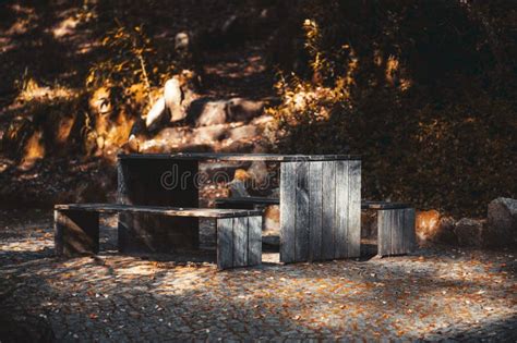Low Key Forest Picnic Table Stock Image Image Of Table Cobblestone