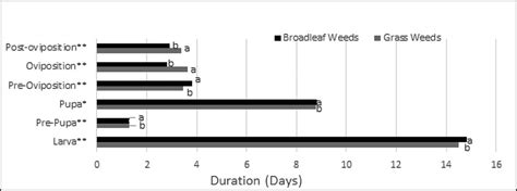 Life Cycle Of S Frugiperda Comparison Between Grass And Broadleaf