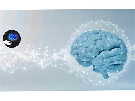 Resilient Brain Programs Trainings And Courses The Truitt Institute